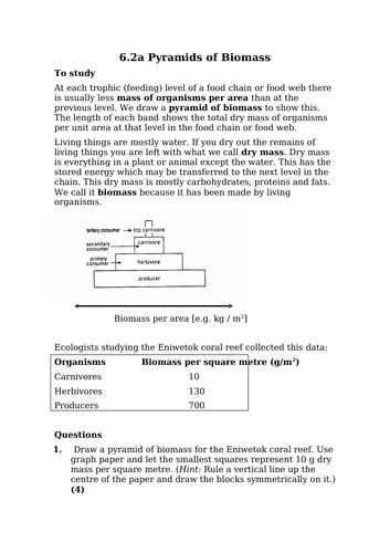Pyramids Of Number, Biomass & Energy (GCSE) | Teaching Resources