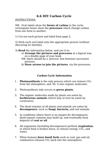 The Carbon Cycle (Cut-And-Stick & Extension Activity) (GCSE) | Teaching ...