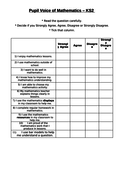 Mathematics Pupil Voice Questionnaires | Teaching Resources