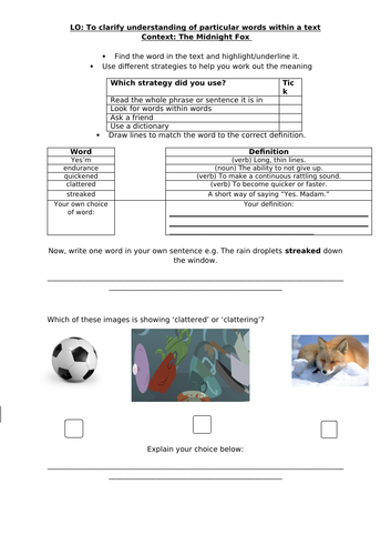 Unit of Guided Reading based around The Midnight Fox by Betsy Byars ...