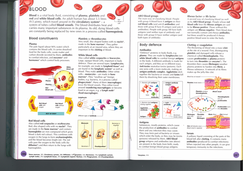 The Structure & Function Of Blood And Blood Cells (GCSE) | Teaching ...