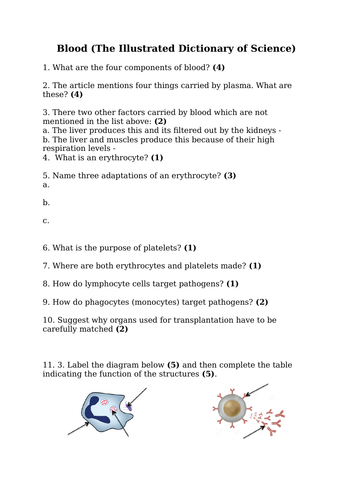 The Structure & Function Of Blood And Blood Cells (GCSE) | Teaching ...