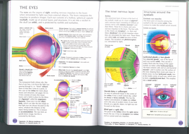 The Structure & Function Of The Eye (GCSE) | Teaching Resources