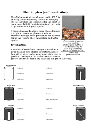 Photo - And Other Plant Tropisms (GCSE) | Teaching Resources