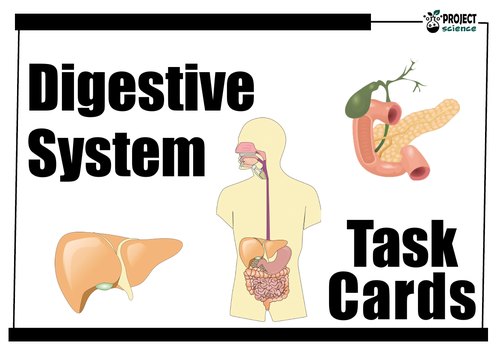 Digestive System Task Cards | Teaching Resources