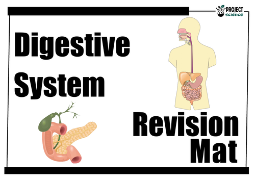 Digestive System Revision Mat | Teaching Resources