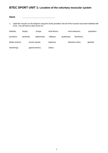 BTEC SPORT Muscular Worksheets for Unit 1 Nationals L3 Award (New Spec ...