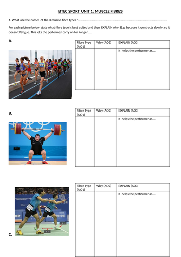 BTEC SPORT Muscular Worksheets for Unit 1 Nationals L3 Award (New Spec ...