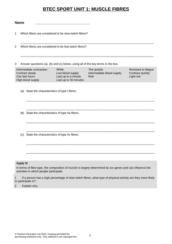 BTEC SPORT Muscular Worksheets for Unit 1 Nationals L3 Award (New Spec ...