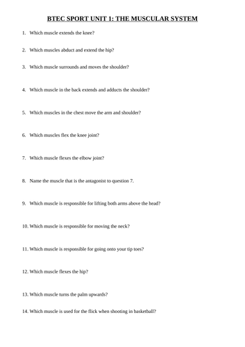 BTEC SPORT Muscular Worksheets for Unit 1 Nationals L3 Award (New Spec ...