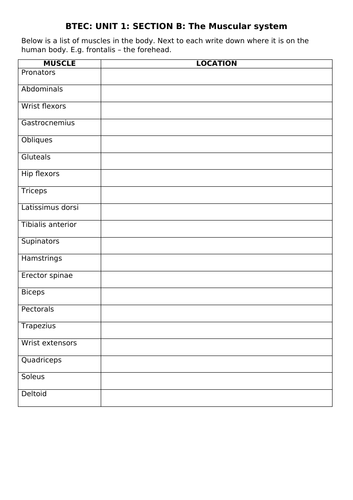 BTEC SPORT Muscular Worksheets for Unit 1 Nationals L3 Award (New Spec ...