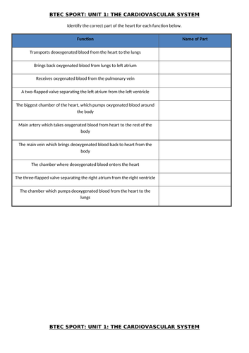 BTEC SPORT Cardiovascular Worksheets for Unit 1, Nationals L3 ... BTEC SPORT Cardiovascular Worksheets for Unit 1, Nationals L3 ...
