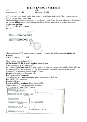 BTEC SPORT Energy Systems Worksheets for Unit 1, Nationals L3 (new spec ...