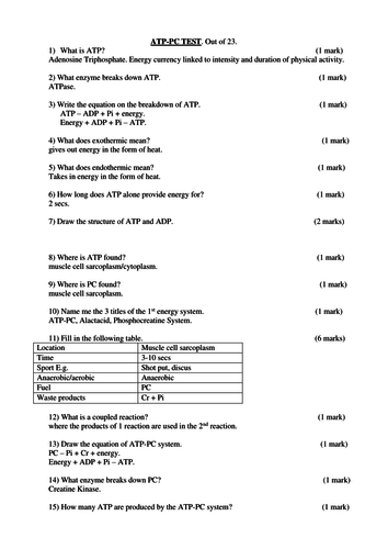 BTEC SPORT Energy Systems Worksheets for Unit 1, Nationals L3 (new spec ...