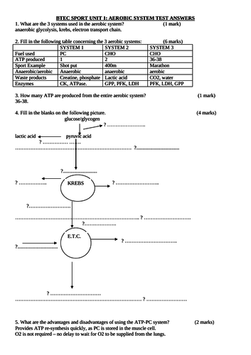 BTEC SPORT Energy Systems Worksheets for Unit 1, Nationals L3 (new spec ...