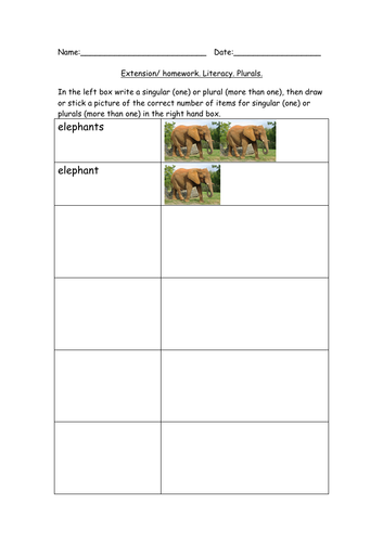 Follow on Plurals for SEN, ESOL, Early Years, Primary | Teaching Resources