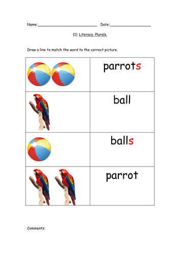 Follow on Plurals for SEN, ESOL, Early Years, Primary | Teaching Resources