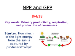 Energy in ecosystems bundle e.g. NPP, GPP and energy transfer ...