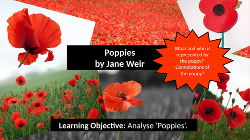 Poppies - AQA Power and Conflict Poetry Lesson - Lesson 12 | Teaching ...