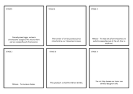 AQA 4.1 Cell Cycle - Mitosis | Teaching Resources