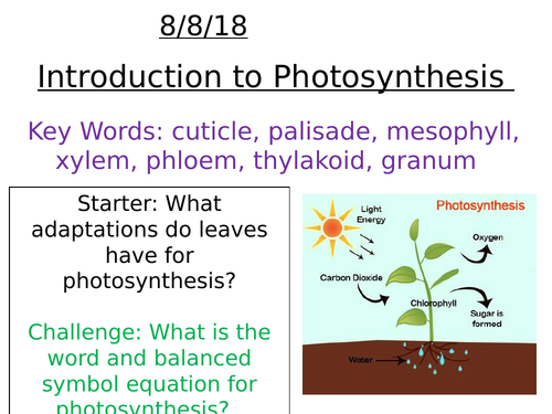AQA A level Biology - Introduction to photosynthesis | Teaching Resources