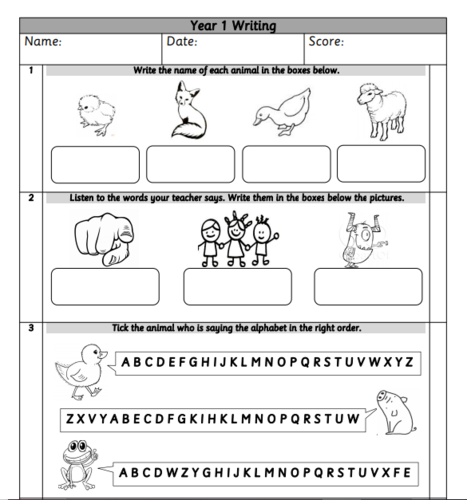 Year 1 National Curriculum (UK) Baseline Tests | Teaching Resources