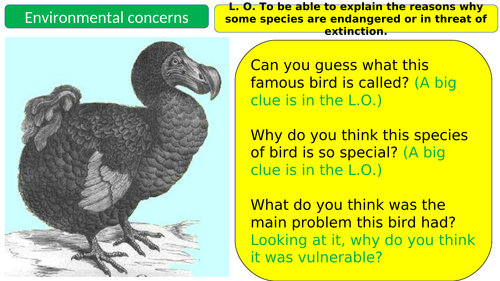 KS3 Endangered species | Teaching Resources