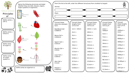 Principles of Organisation Revision Mat - AQA Combined Biology GCSE ...