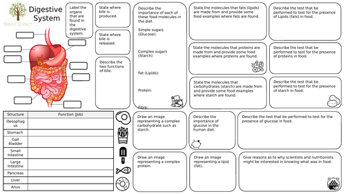 The Digestive System and Enzymes Revision Mats - AQA Combined Biology ...