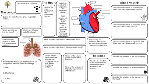 The Lungs, Heart, Blood and CHD Revision Mats - AQA Combined Biology ...