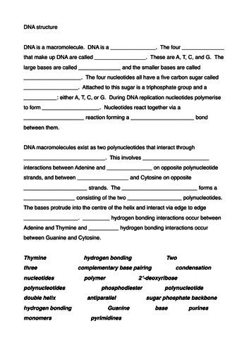 DNA structure gap fill | Teaching Resources