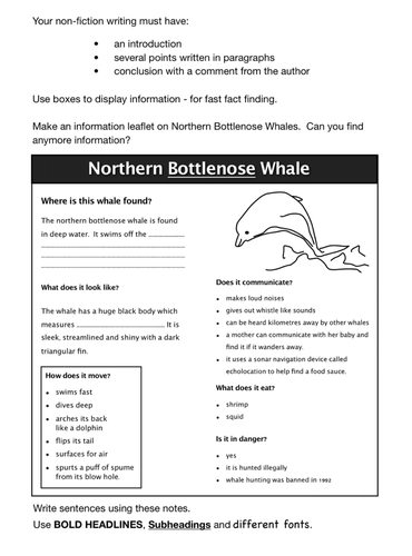 Practise Non Fiction Writing: The Blue Whale (7-13 years) | Teaching ...
