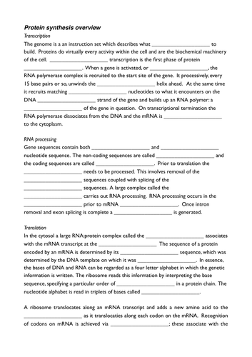 Protein synthesis overview gaps | Teaching Resources