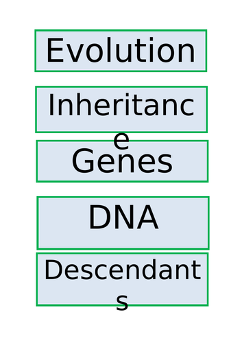 Display vocabulary inheritance evolution | Teaching Resources Display vocabulary inheritance evolution | Teaching Resources