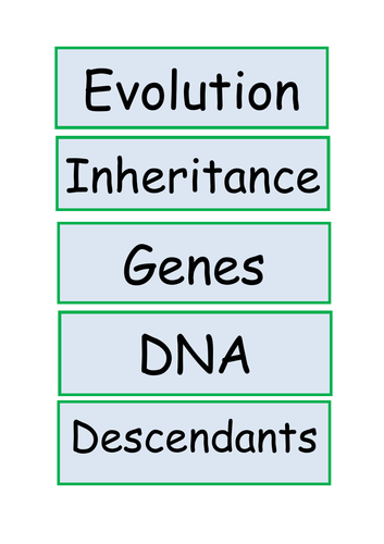 Vocabulary resources inheritance evolution | Teaching Resources Vocabulary resources inheritance evolution | Teaching Resources