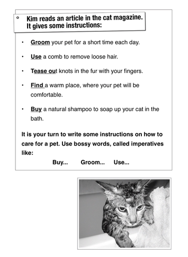 Creative Writing Tasks With An Animal Theme: Pack 2 (7-13 years ...