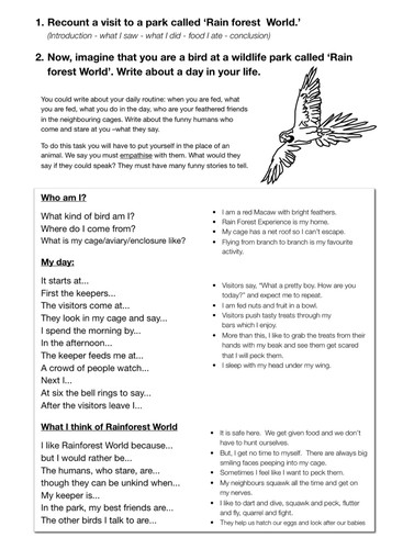 Lots Of Writing Tasks About The Rainforest (7-13 years) | Teaching ...