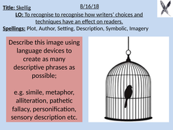 Skellig - Almond - Entire Powerpoint of lessons and Scheme of Work ...