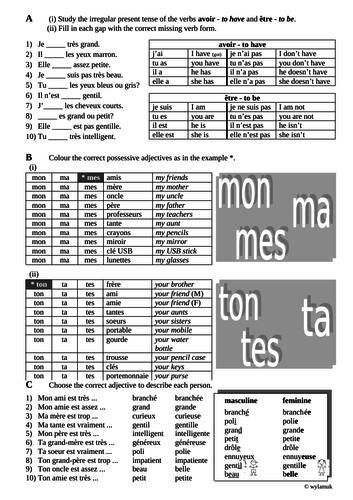 Studio 1, Module 1, Unité 4; Et les autres? Describing other people ...