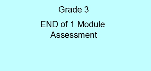 Grade 3, Math Module 1 REVIEW & ASSESSMENT w/Ans keys (printables ...