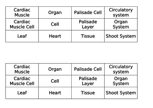 Bioenergetics Bundle | Teaching Resources