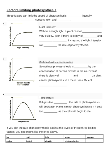 Bioenergetics Lesson 04 - Limiting Factors of Photosynthesis | Teaching ...