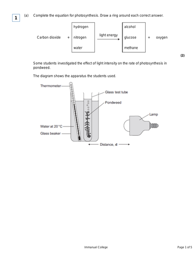 Bioenergetics Lesson 04 - Limiting Factors of Photosynthesis | Teaching ...