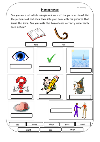 Homophones: Full Introduction Lesson & Worksheets | Teaching Resources