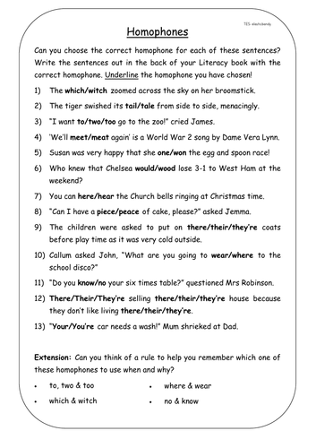 Homophones: Full Introduction Lesson & Worksheets | Teaching Resources