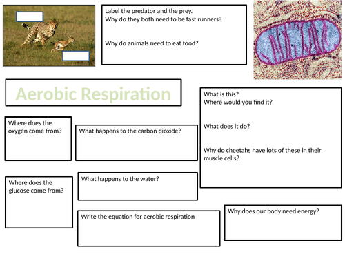 Bioenergetics Lesson 07 - Aerobic Respiration | Teaching Resources