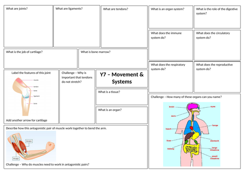 Y7 Organisms (movement & systems) Revision pack 2020 - Based on AQA KS3 ...