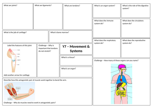 Y7 Organisms (movement & systems) Revision pack 2020 - Based on AQA KS3 ...