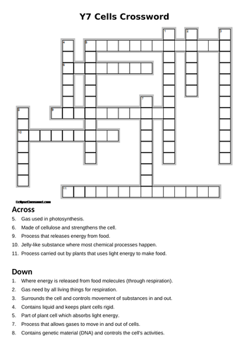 Y7 Organisms - Cells Revision pack 2020 - Based on AQA KS3 Science ...