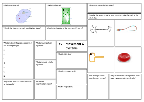 Y7 Organisms - Cells Revision pack 2020 - Based on AQA KS3 Science ...